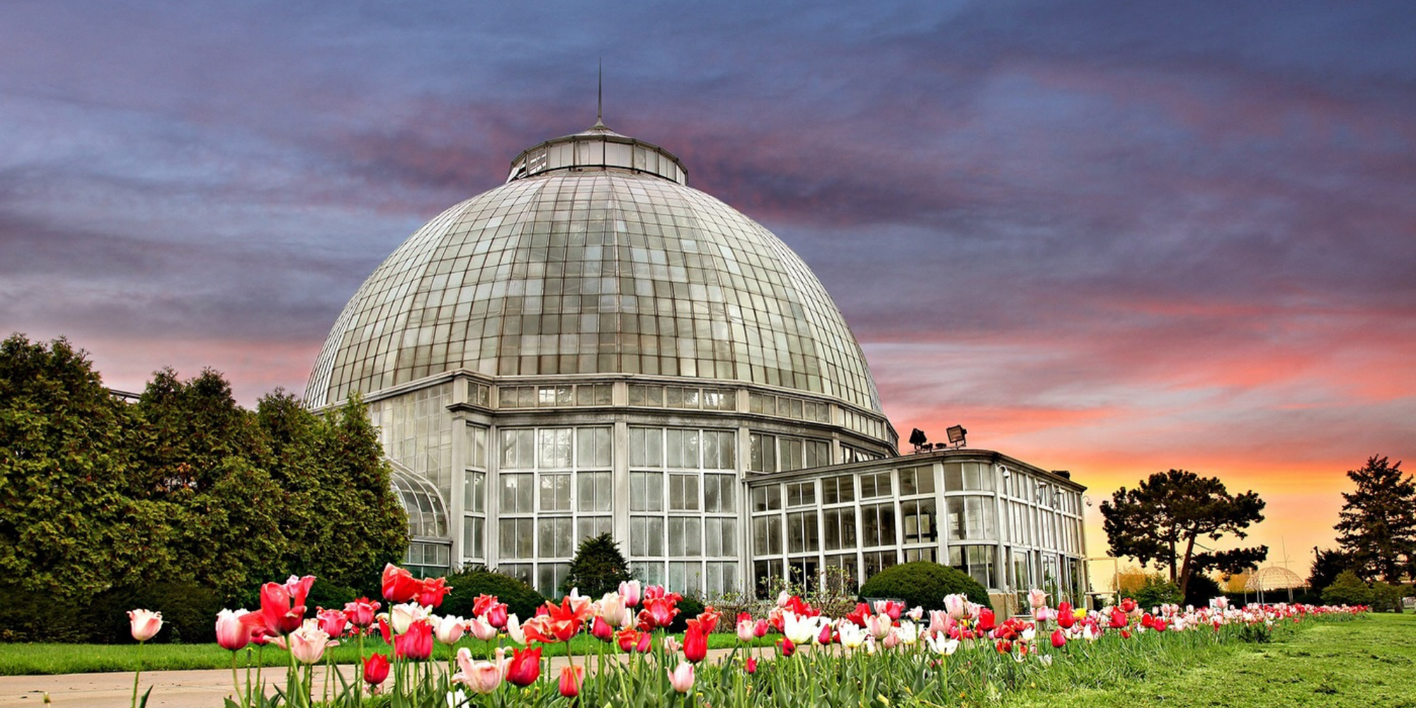 Belle Isle Conservancy Rebrands as "Detroit's Backyard" - Here's What ...